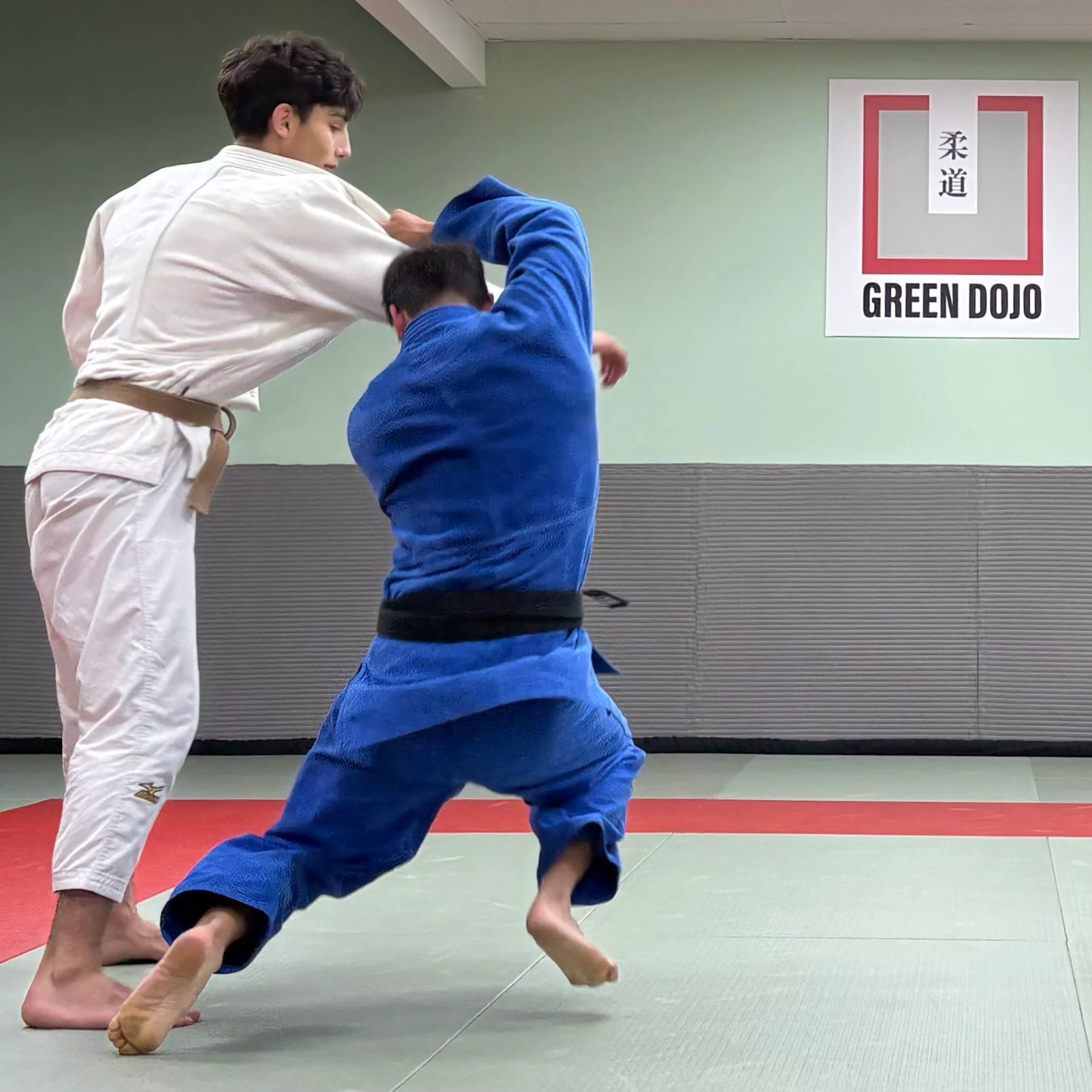 Why Judo Stands Out [87% Gain Strength & Resilience 🥋💪] – Green Dojo ...